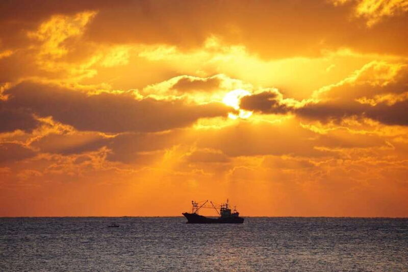 Jeju Island West Route One-day tour (optional attractions) - Who Would Love This Tour?