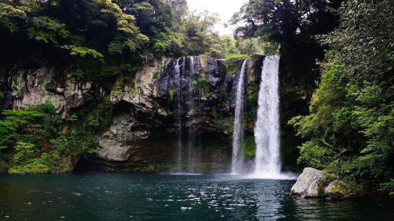 Jeju Island West Route One-day tour (optional attractions) - The Sum Up