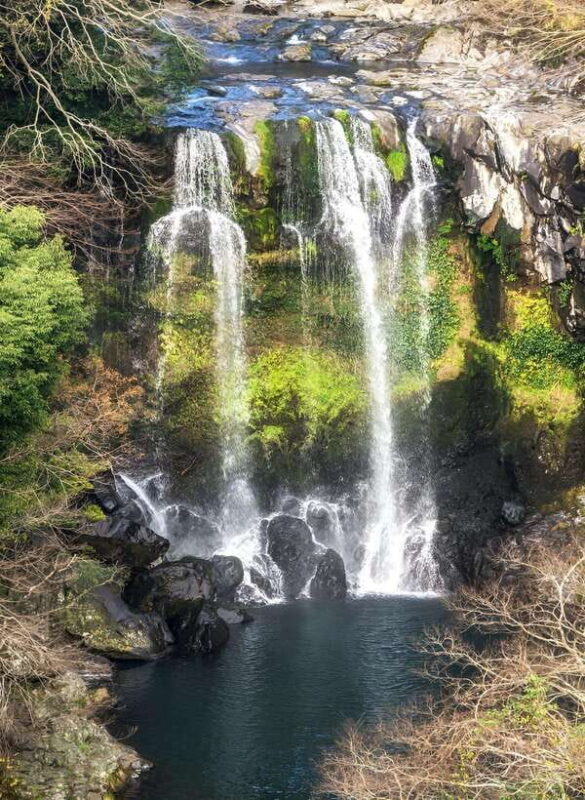 Jeju island : West & South Full-Day Tour - Who Will Love This Tour?