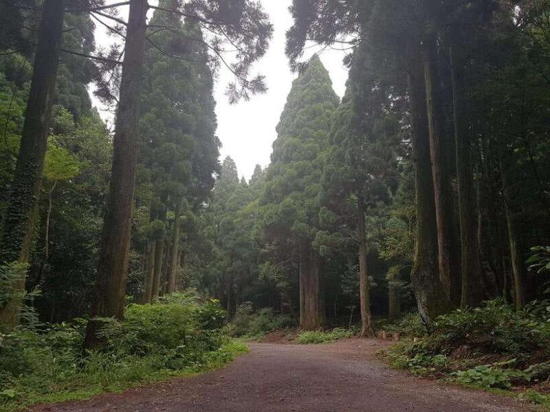 Jeju: Korean TV Series Filming Sites Private Day Tour-East - Key Points