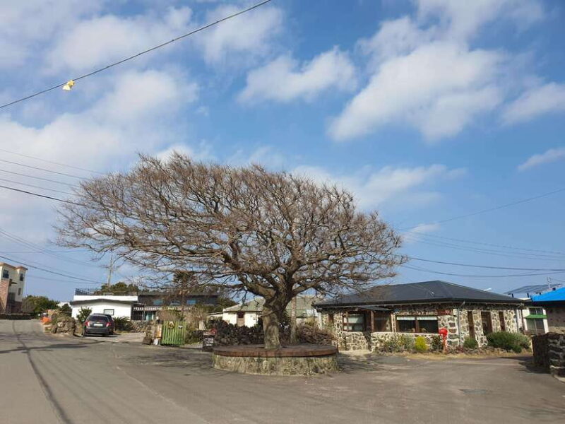 Jeju: Korean TV Series Filming Sites Private Day Tour-East - The Itinerary in Detail