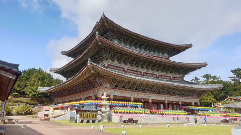 Jeju: Mt. Hallasan Hike and UNESCO Sites Day Tour - Who Is This Tour Best For?