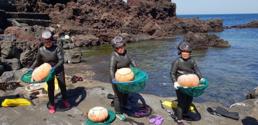 Jeju Premium Small Group UNESCO Day Tour - East - Key Points