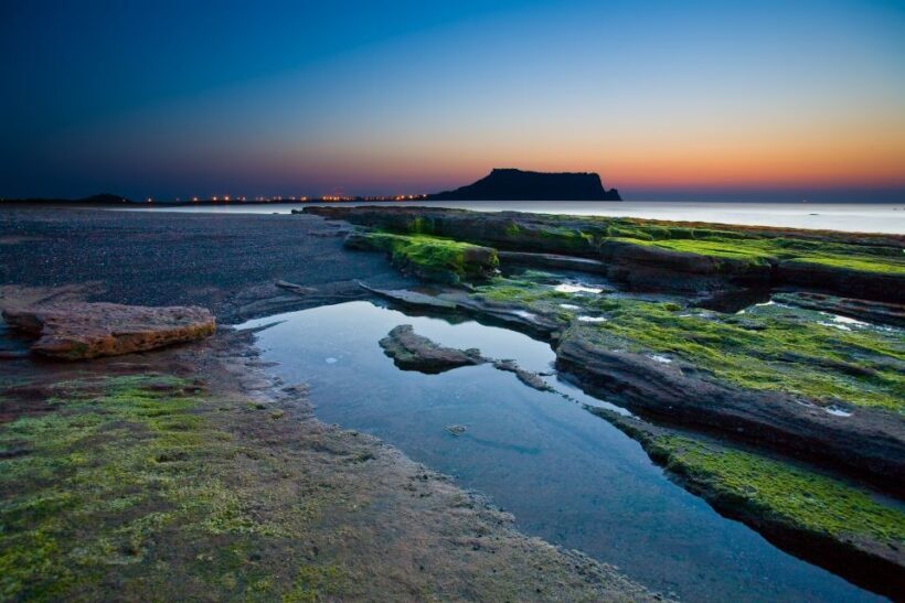 Jeju Premium Small Group UNESCO Day Tour - East - Authentic Experiences and Traveler Feedback