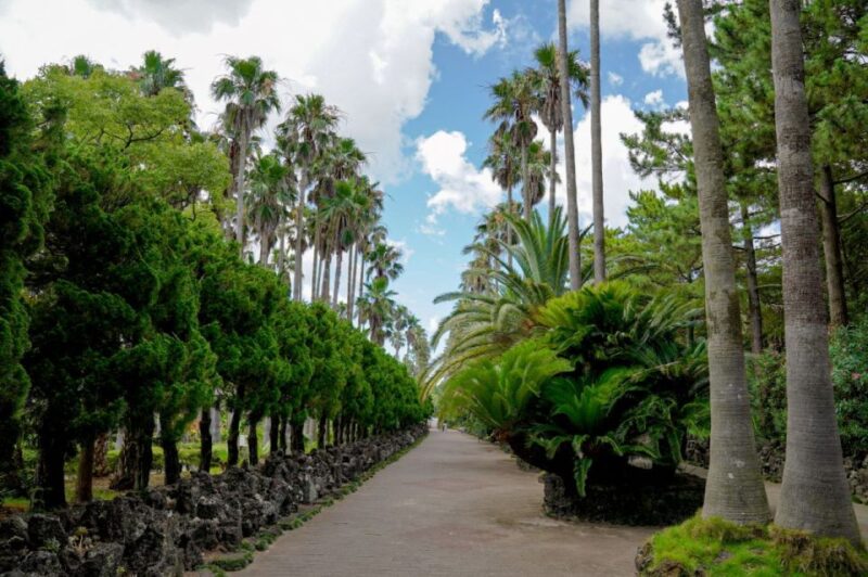 Jeju Premium Small Group UNESCO Day Tour - West - Why This Tour Offers Good Value