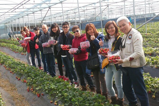 jeju Private Day Taxi tour - West of Jeju Island - FAQ