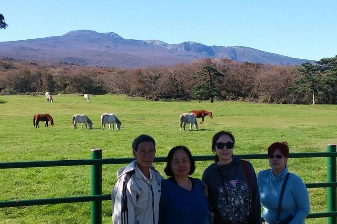 Jeju Private Full day tour of UNESCO Day Tour - FAQ