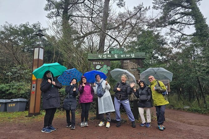 Jeju Private Half-Day Tour for Cruise Customers - An In-Depth Look at the Tour Experience