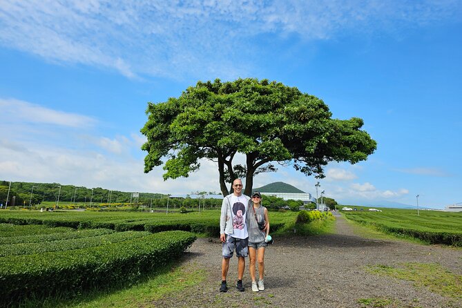 Jeju Private Tour Package-South of Jeju(Mt.Hallasan & Waterfalls) - FAQ