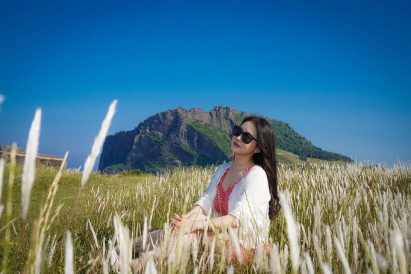 Jeju: Professional Photography Experience at Jeju Landmarks - Who Is This Tour Best For?