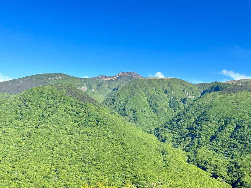 Jeju: South Healing UNESCO Small Group Tour & Mt.Halla, Olle - Frequently Asked Questions