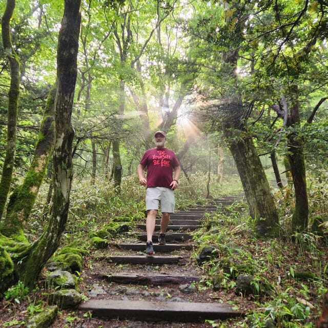 Jeju: Southern UNESCO Geopark Day Tour - Practical Details and Tips