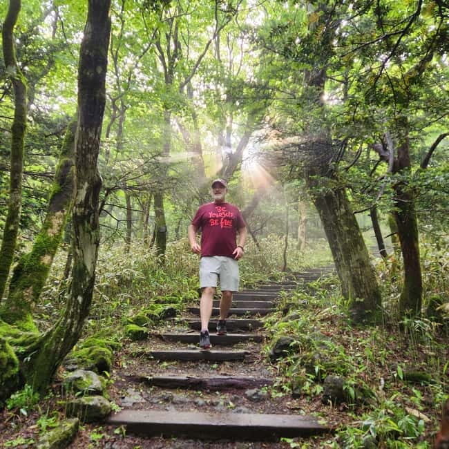 Jeju: Southern UNESCO Geopark Day Tour - Authenticity and Value