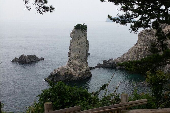 JEJU TAXI TOUR - East of jeju ( Included Drop-off Jeju Airport ) - Who Is This Tour Best For?