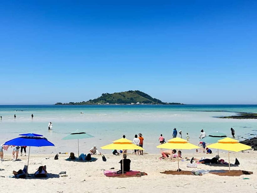 Jeju: West Healing UNESCO Small Group Tour & DolphinWatching - Key Points
