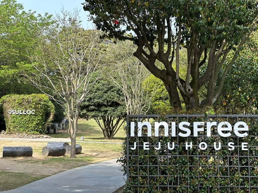 Jeju: West Healing UNESCO Small Group Tour & DolphinWatching - The Sum Up