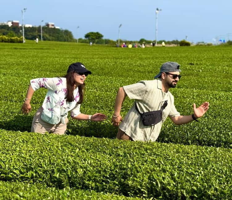 Jeju: West Healing UNESCO Small Group Tour & DolphinWatching - FAQ