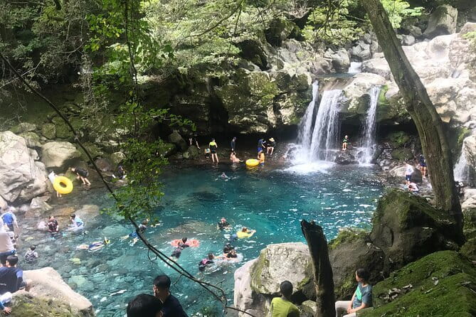 Jeju Western and Southern Routes Sightseeing Day Tour - Who Should Consider This Tour?