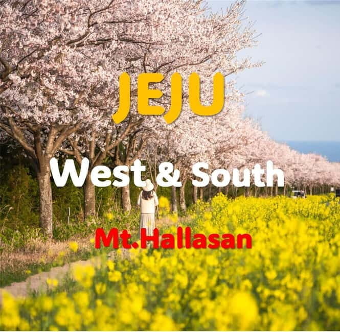 Jeju: Western and Southern Sightseeing Day Tour - Who Will Love This Tour?