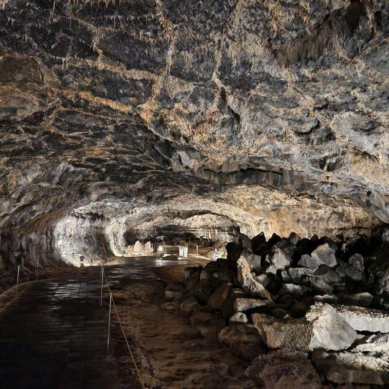 Jeju Western & Sothern : Hydrangea Festival Tour - What You’ll Experience