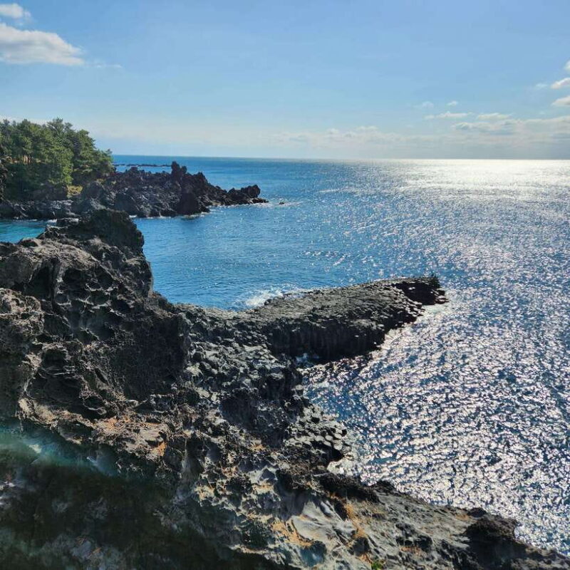 Jeju Western & Sothern : Hydrangea Festival Tour - Authentic Feedback from Past Participants