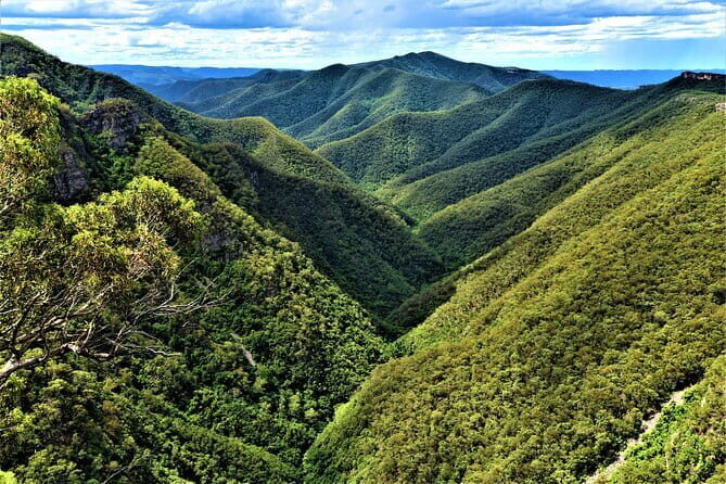 Jenolan Caves Blue Mountains Day Tour + River cruise - Guided Bush Walks: Nature up Close