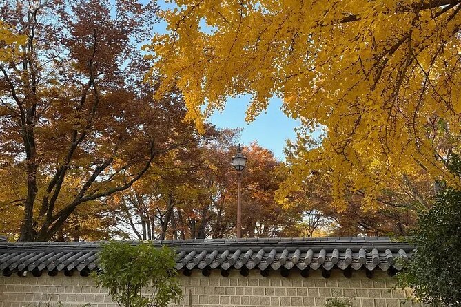 Jeonju Hanok Village and Jangtaesan Nature Tour - Return to Seoul