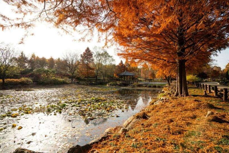 Jeonju: Private Taxi Tour Car Charter - The Bottom Line