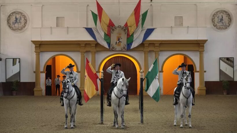Jerez and Cadiz Private Tour from Seville - Who Will Enjoy This Tour?