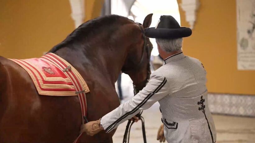 Jerez and Cadiz Private Tour from Seville - FAQ