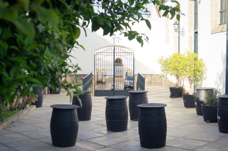 Jerez: Bodegas Álvaro Domecq Guided Tour with Wine Tasting - The Sum Up