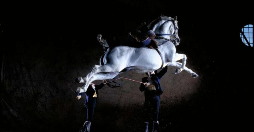 Jerez de la Frontera: Andalusian Horse Dance and Museums - The Venue and Additional Highlights