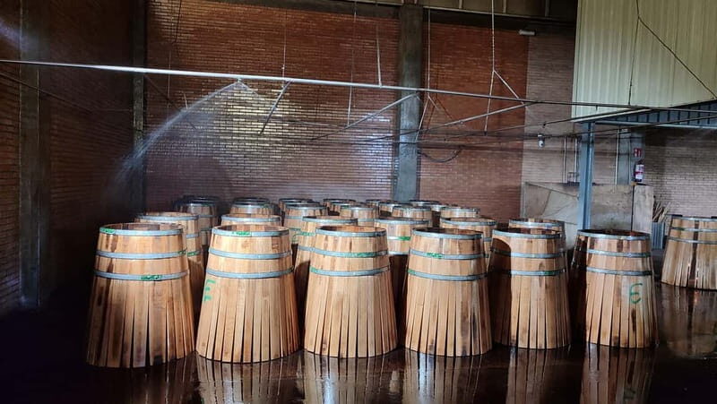 JEREZ DE LA FRONTERA: PREMIUM GUIDED TOUR TO THE COOPERAGE - Insights from the Reviews