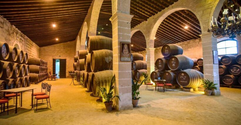 Jerez: Guided Winery Tour with Wine Tasting - The Itinerary: What to Expect