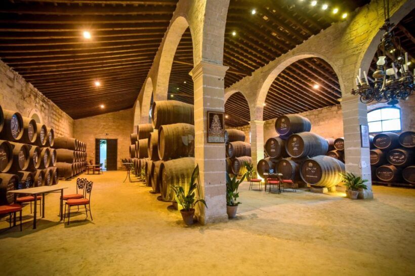 Jerez: Guided Winery Tour with Wine Tasting - What the Reviews Say: Authentic Feedback