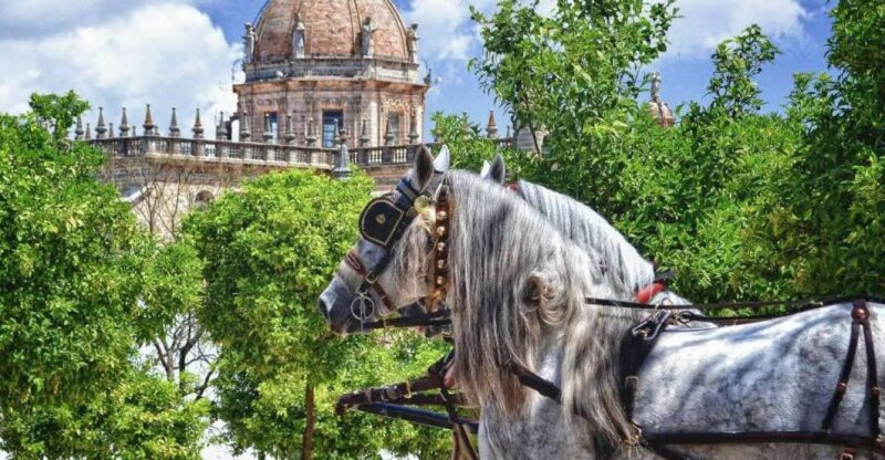 Jerez: Historic Center Guided Tour - What the Reviews Say