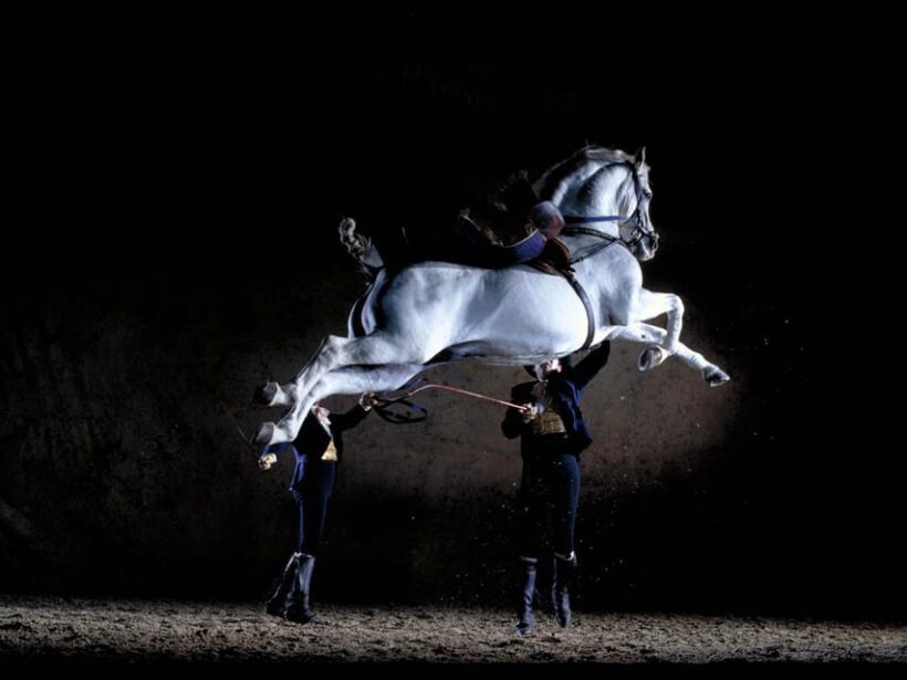 Jerez: Historic center of Jerez and horse show - Analyzing the Value