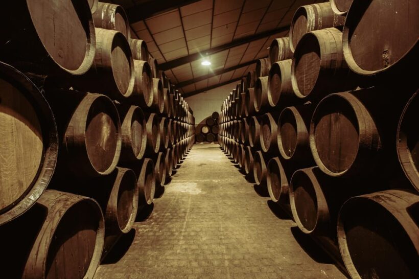 Jerez: Tour Bodegas Páez Morilla ESPAÑOL/DEUTSCH - What You Get for Your Money