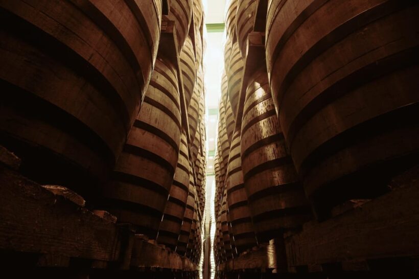 Jerez: Visit to Páez Morilla Winery SPANISH/ITALIANO - In-Depth Analysis of the Tour’s Value