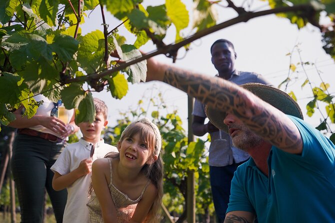 Jersey Premium Vineyard and Distillery Wine Tour and Tasting - Traveler Reviews and Feedback