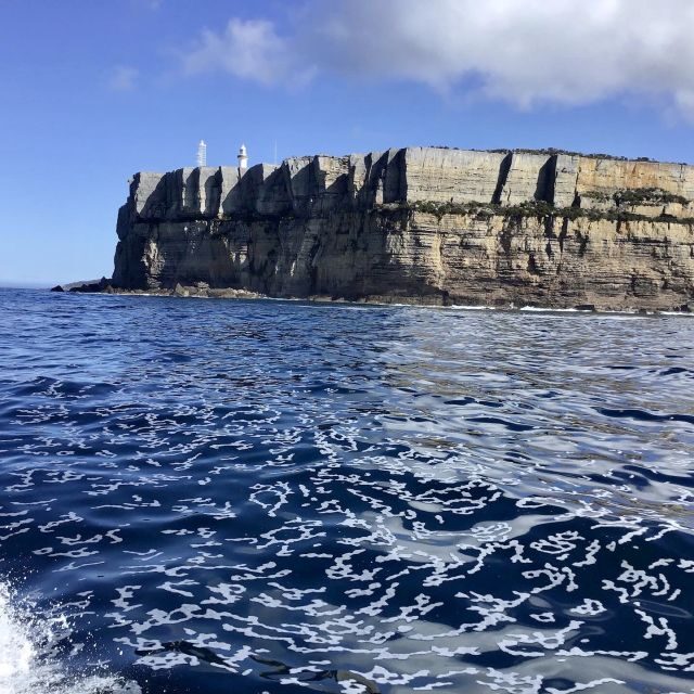 Jervis Bay: 2-Hour Cruise of Jervis Bay Passage - Key Points