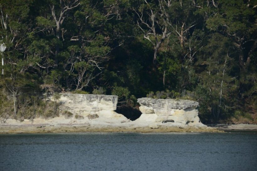 Jervis Bay: 2-Hour Cruise of Jervis Bay Passage - An In-Depth Look at the 2-Hour Jervis Bay Cruise