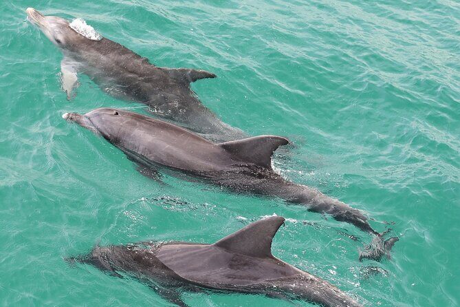 Jervis Bay Hidden Secrets Cruise - What’s Included and What’s Not
