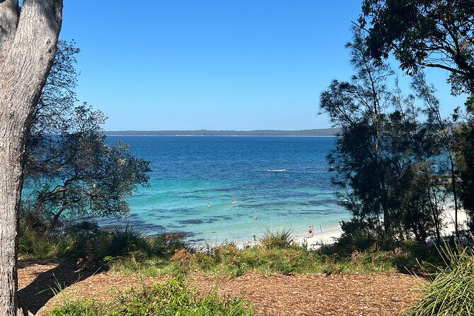 Jervis Bay Private Tour - Pick up & Drop off - Key Points