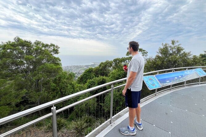 Jervis Bay Private Tour - Pick up & Drop off - An In-Depth Look at the Itinerary and Experiences