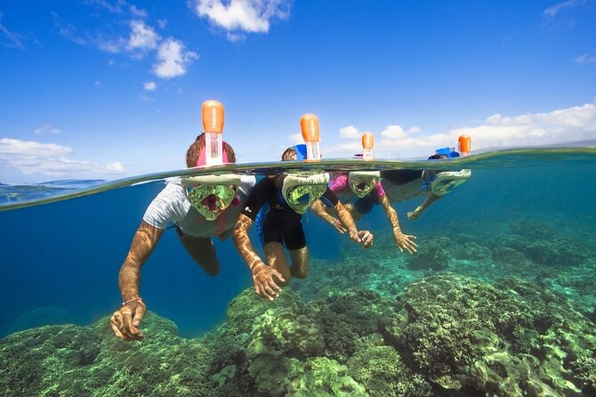 Jet Boat Excursion in South West Coast of Mallorca - Equipment and Activities