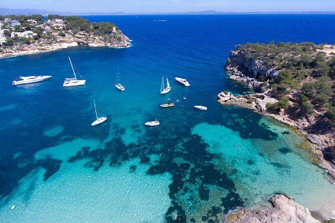 Jet Boat Excursion in South West Coast of Mallorca - Exploring the Marine Life