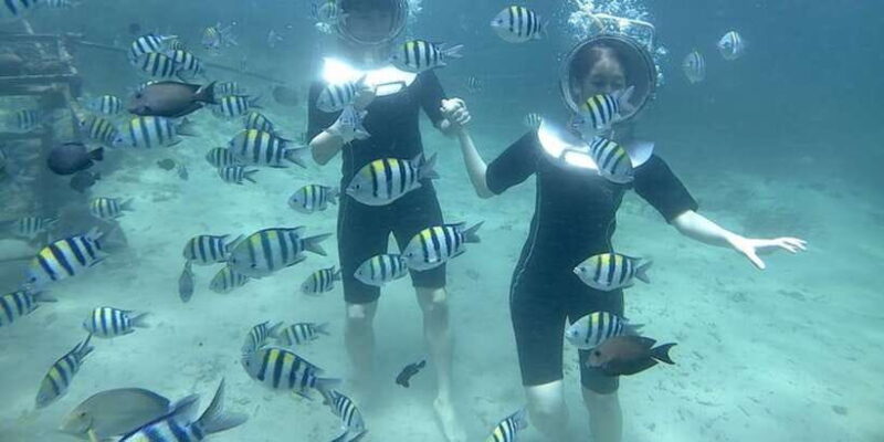 Jet ski and Sea Walker - Key Points