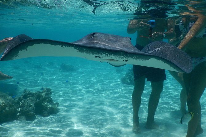 Jet-ski excursion 3 hrs Jet ski excursion to Moorea (single or two-seater) - Who Should Consider This Tour?