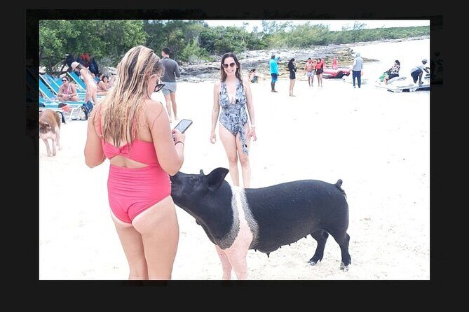 Jetski Rentals Nassau Bahamas. Transportation included (free) - The Sum Up